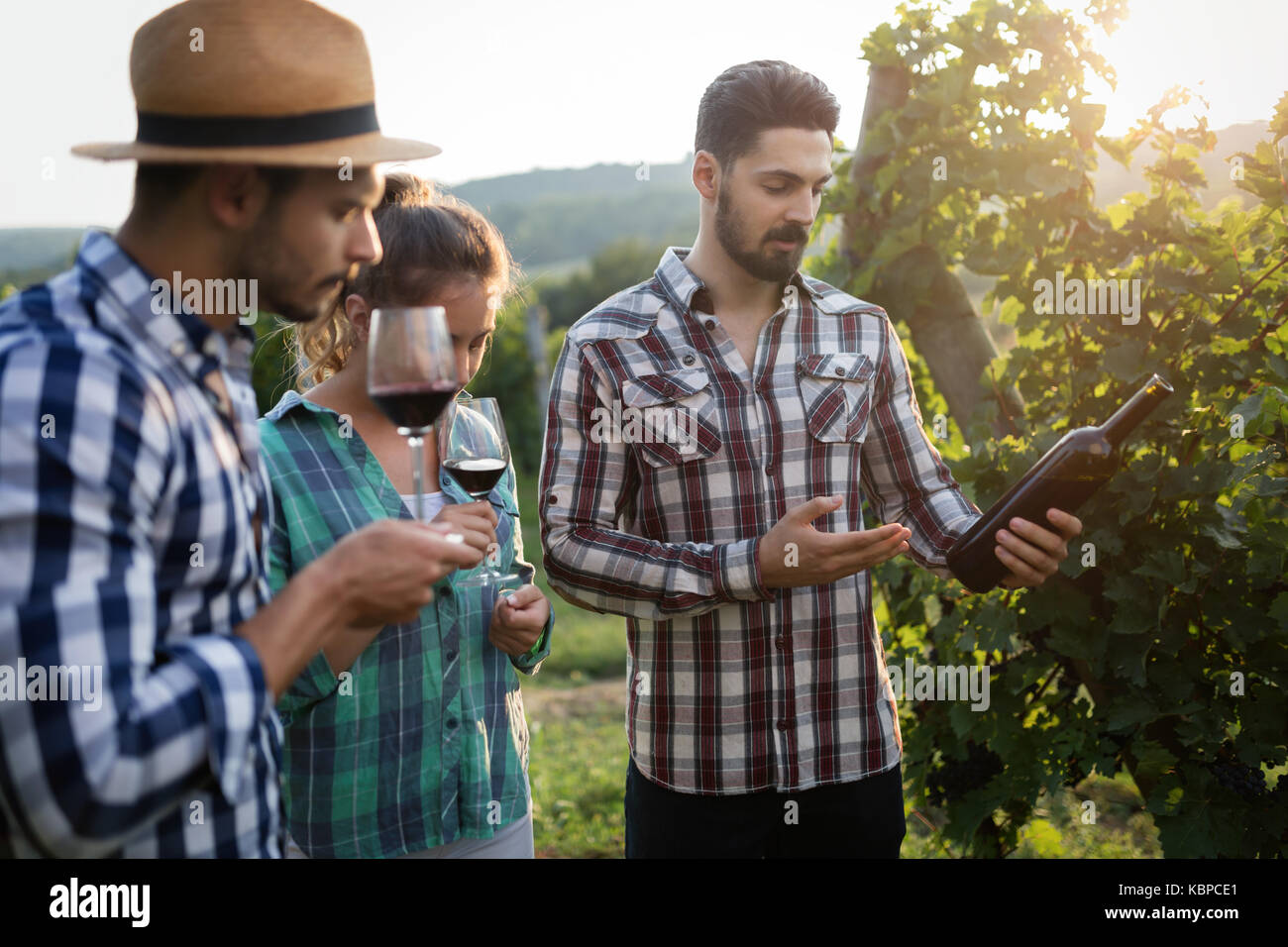 Wine grower and people in vineyard Stock Photo - Alamy