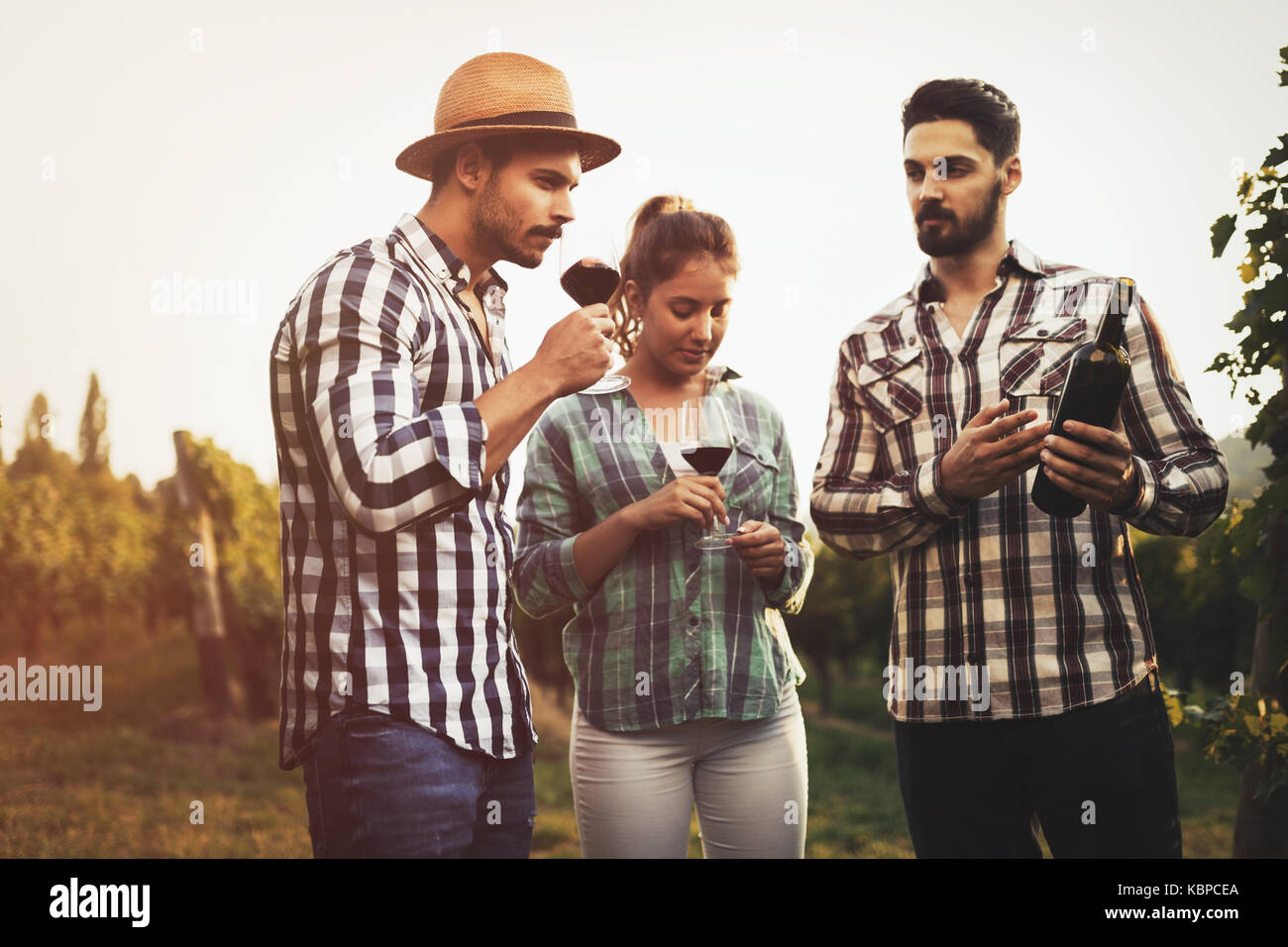 People tasting wine in vineyard Stock Photo - Alamy