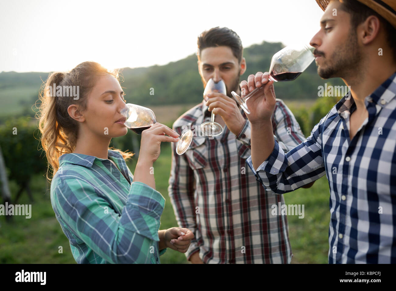 People sampling and tasting wines in vineyard Stock Photo - Alamy