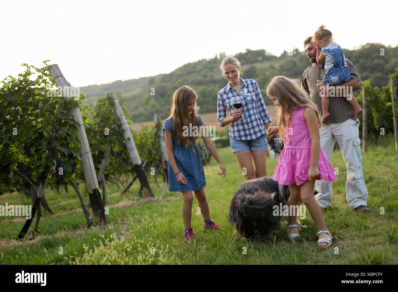 Winemaker family together in vineyard Stock Photo - Alamy Winemaker family together in vineyard Stock Photo - Alamy