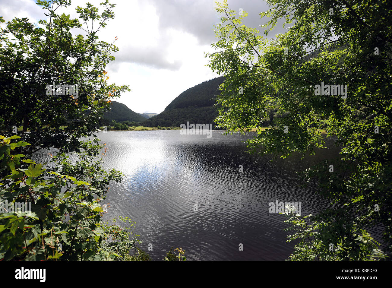 Cwm Rheidol Reservoir Stock Photo - Alamy