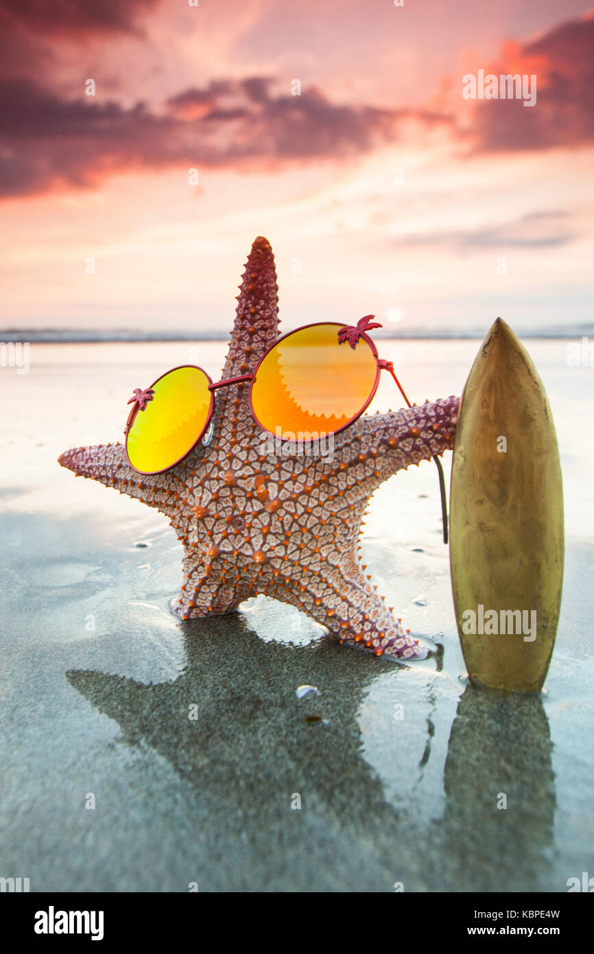 Starfish surfer on the beach and beautiful sunset on Bali Stock Photo ...