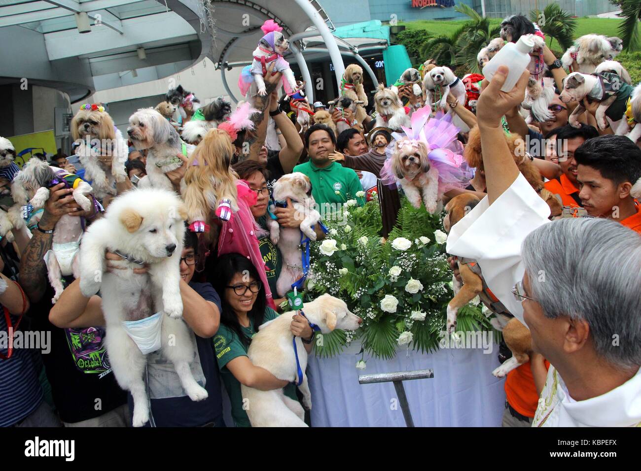 Catholic blessing of pets hi-res stock photography and images - Alamy