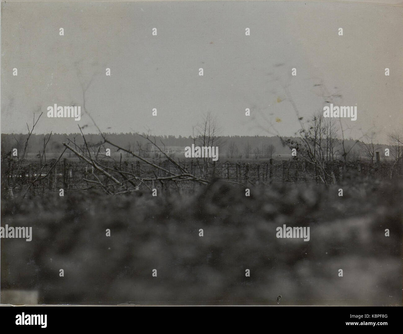 A historical view from the position of the Infantry Regiment 84 ...