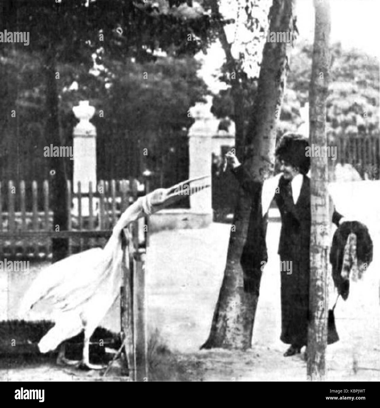 Bird and interaction Black and White Stock Photos & Images - Alamy