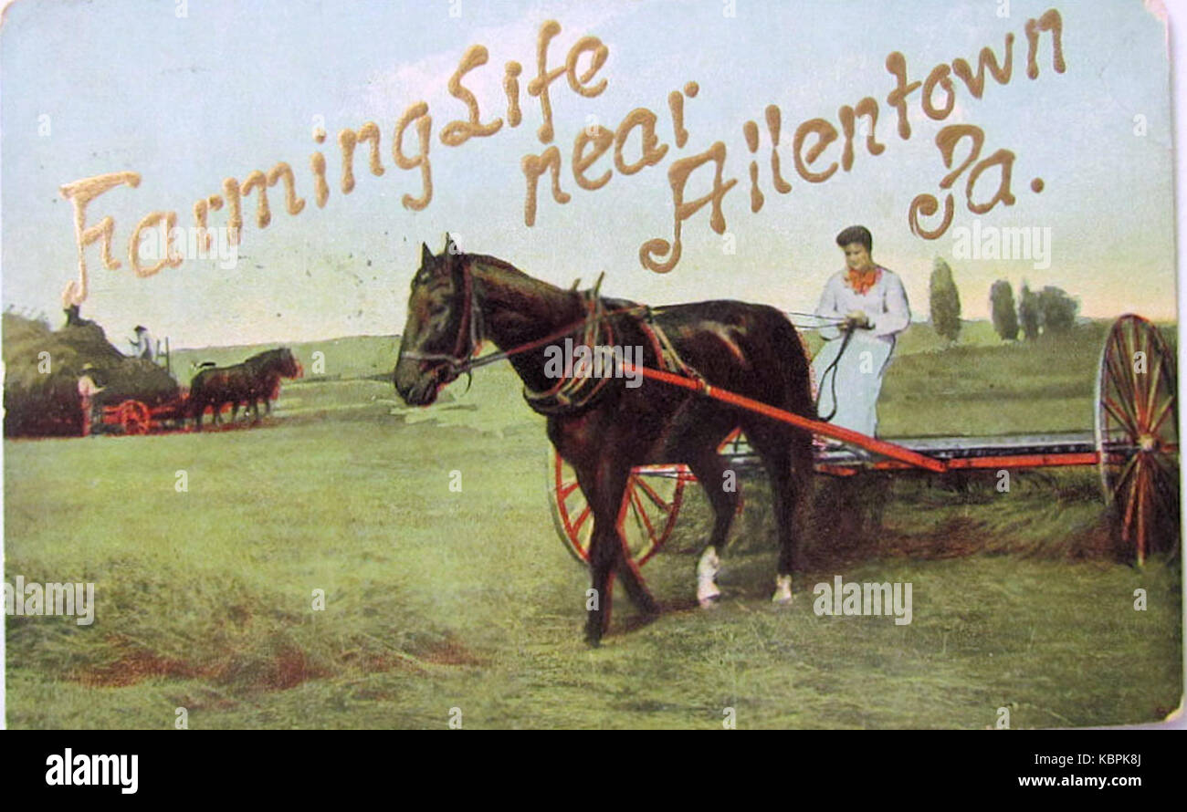 A 1908 promotional postcard from Allentown, PA, depicting farm life in ...