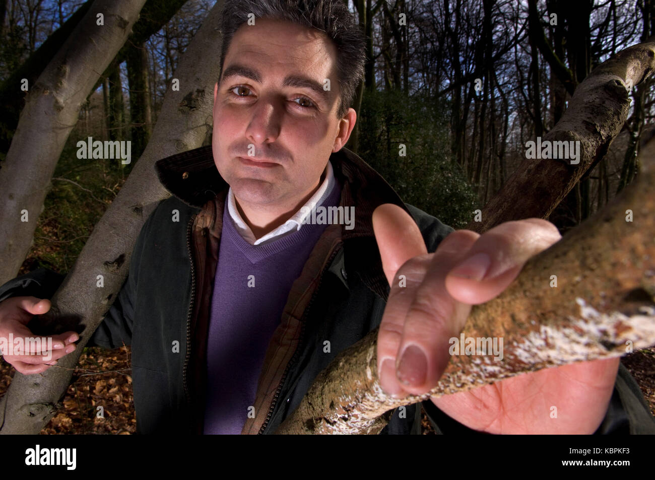Author Matthew Hall Stock Photo - Alamy