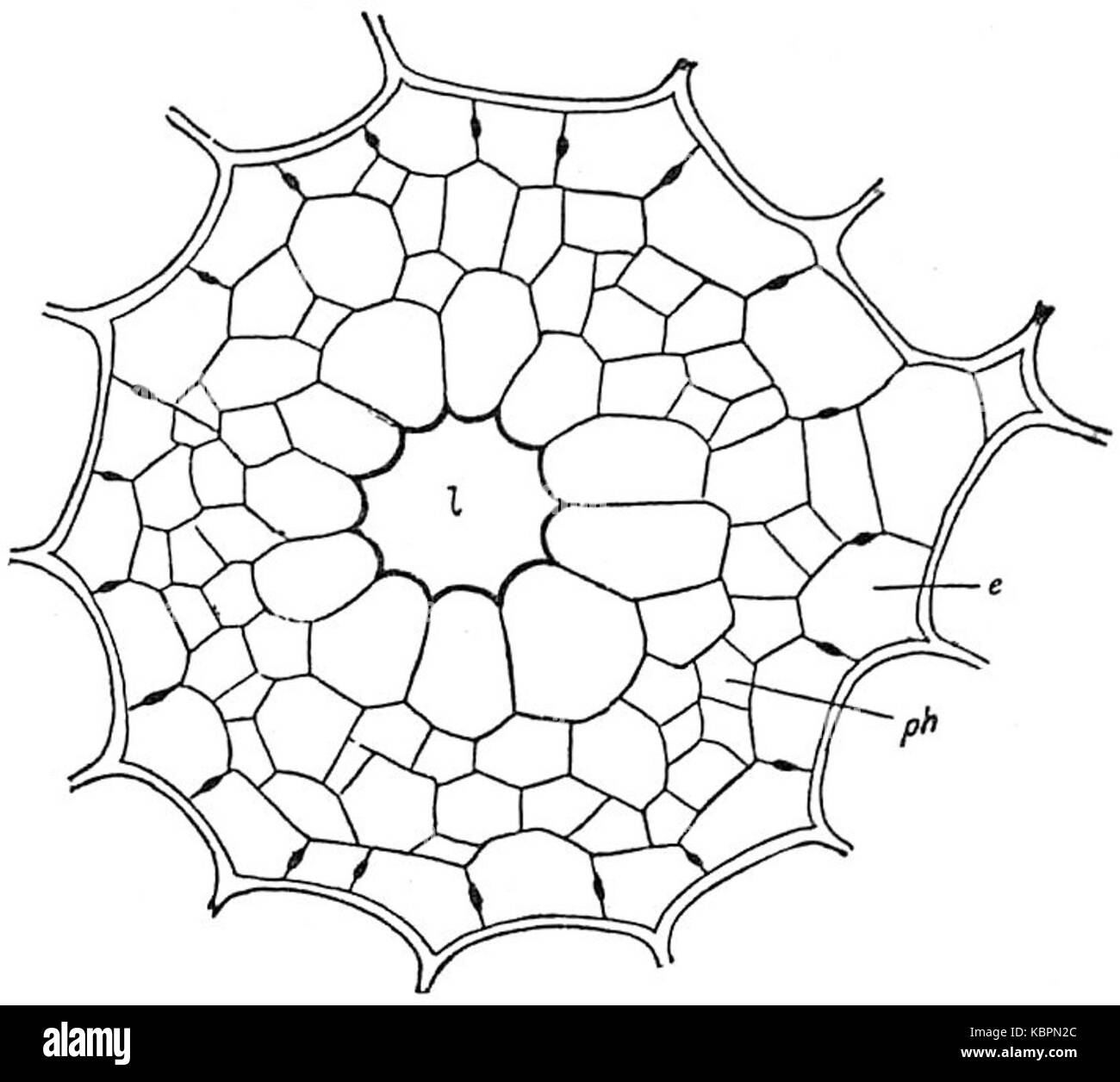 Ancient stele Black and White Stock Photos & Images - Alamy