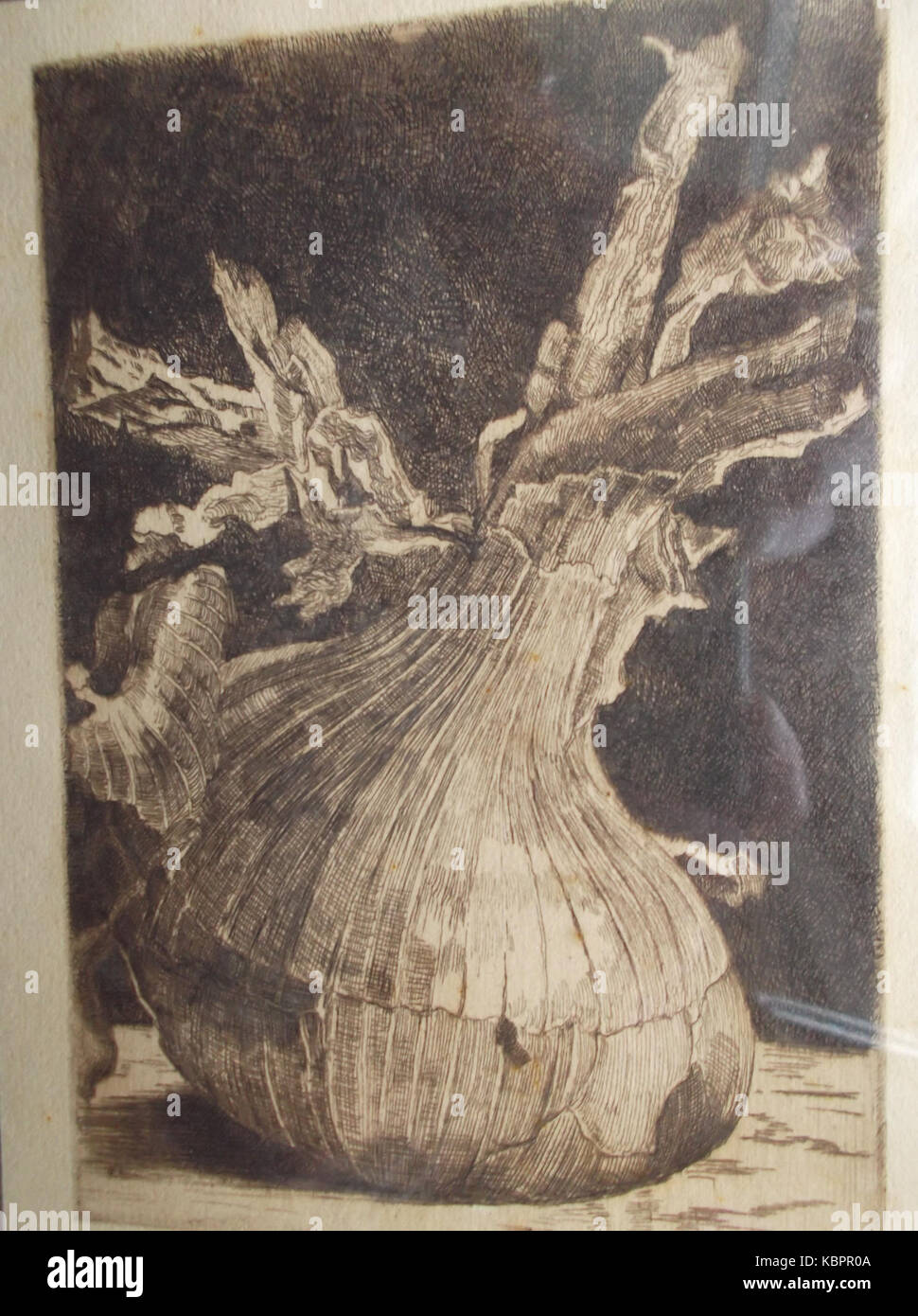 Een ui 1493043308 Stock Photo - Alamy