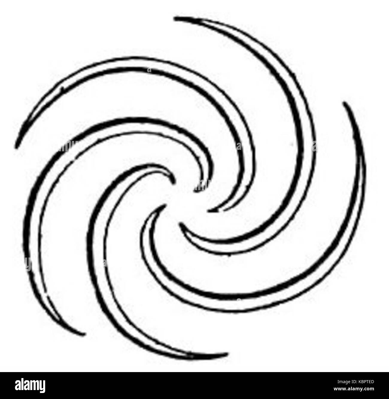 This diagram, dating from 1911, shows the contorted aestivation of a ...