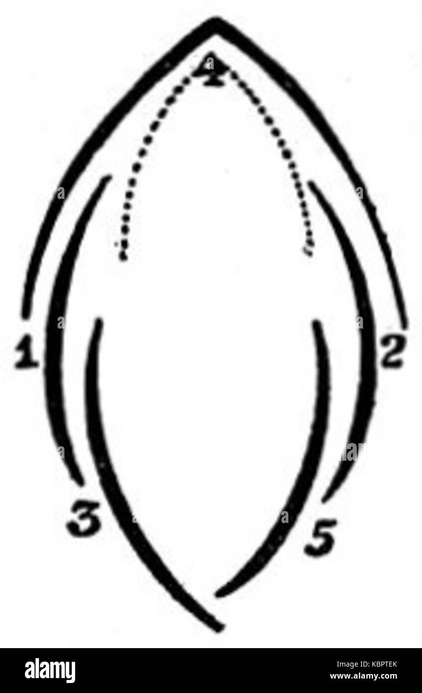 Vexillary hi-res stock photography and images - Alamy