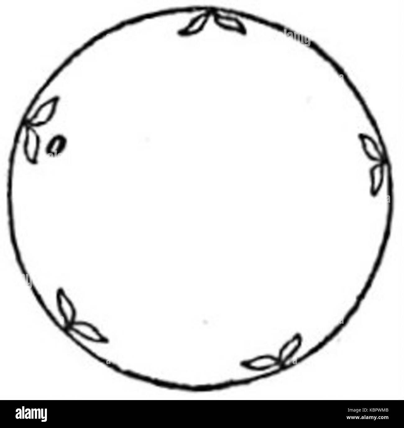 EB1911 Flower diagrammatic section of a five carpellary ovary Stock ...