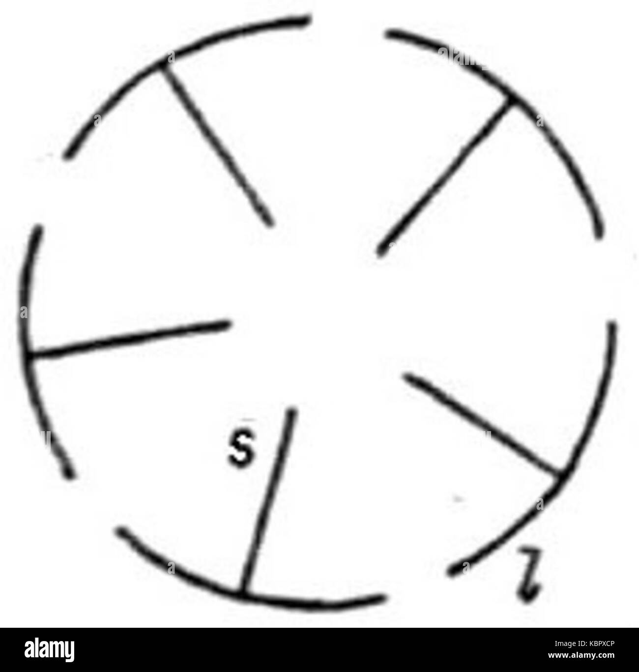 EB1911 Fruit loculicidal dehiscence Stock Photo - Alamy