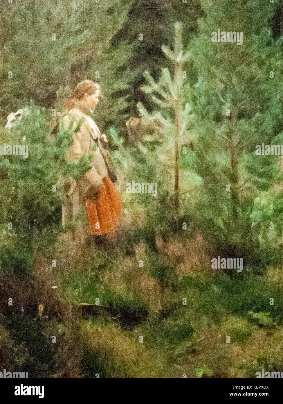 'Zorn Herdsmaid' likely refers to a painting or artwork by the Swedish ...