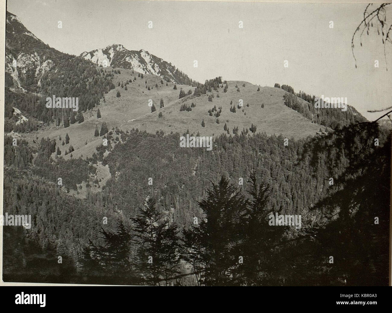 Monte GOFADON, MARZILLA Kote 1823 LUSNITZER ALM und GRANUDA ...