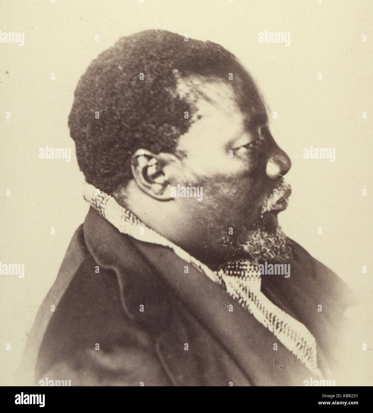 Gustav fritsch hi-res stock photography and images - Alamy
