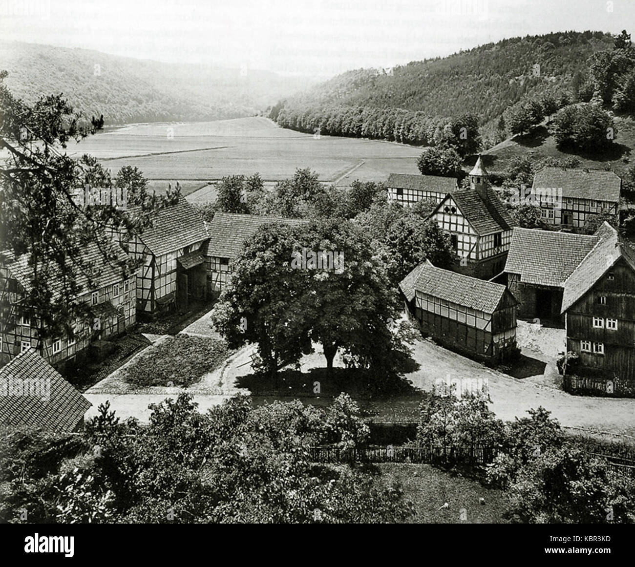 Asel hi-res stock photography and images - Alamy