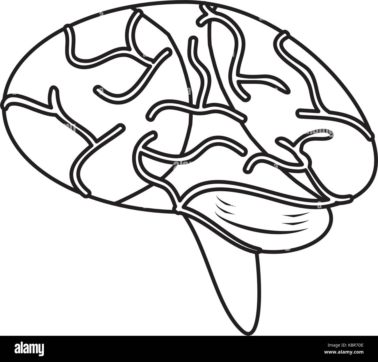 human brain icon over white background vector illustration Stock Vector ...