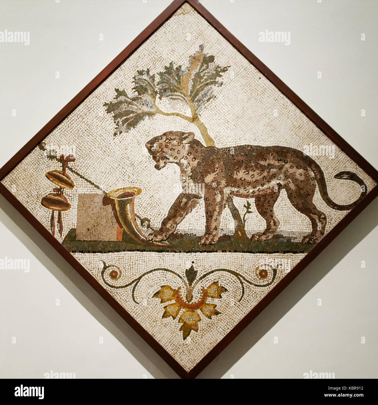 Leopard Sangangelo MAN Napoli Stock Photo - Alamy