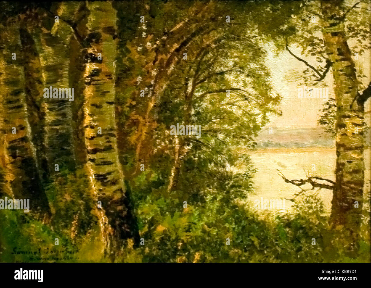 A scenic lakeside view featuring a tranquil landscape with trees lining ...