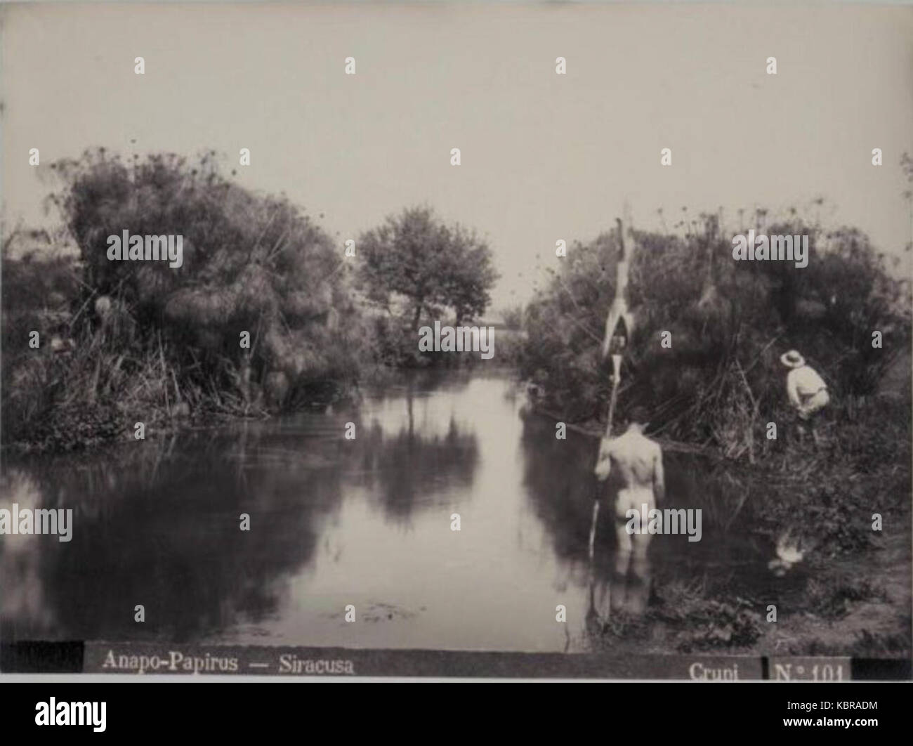 Crupi, Giovanni (1849 1925) n. 0101 Anapo Papirus Siracusa Stock Photo ...