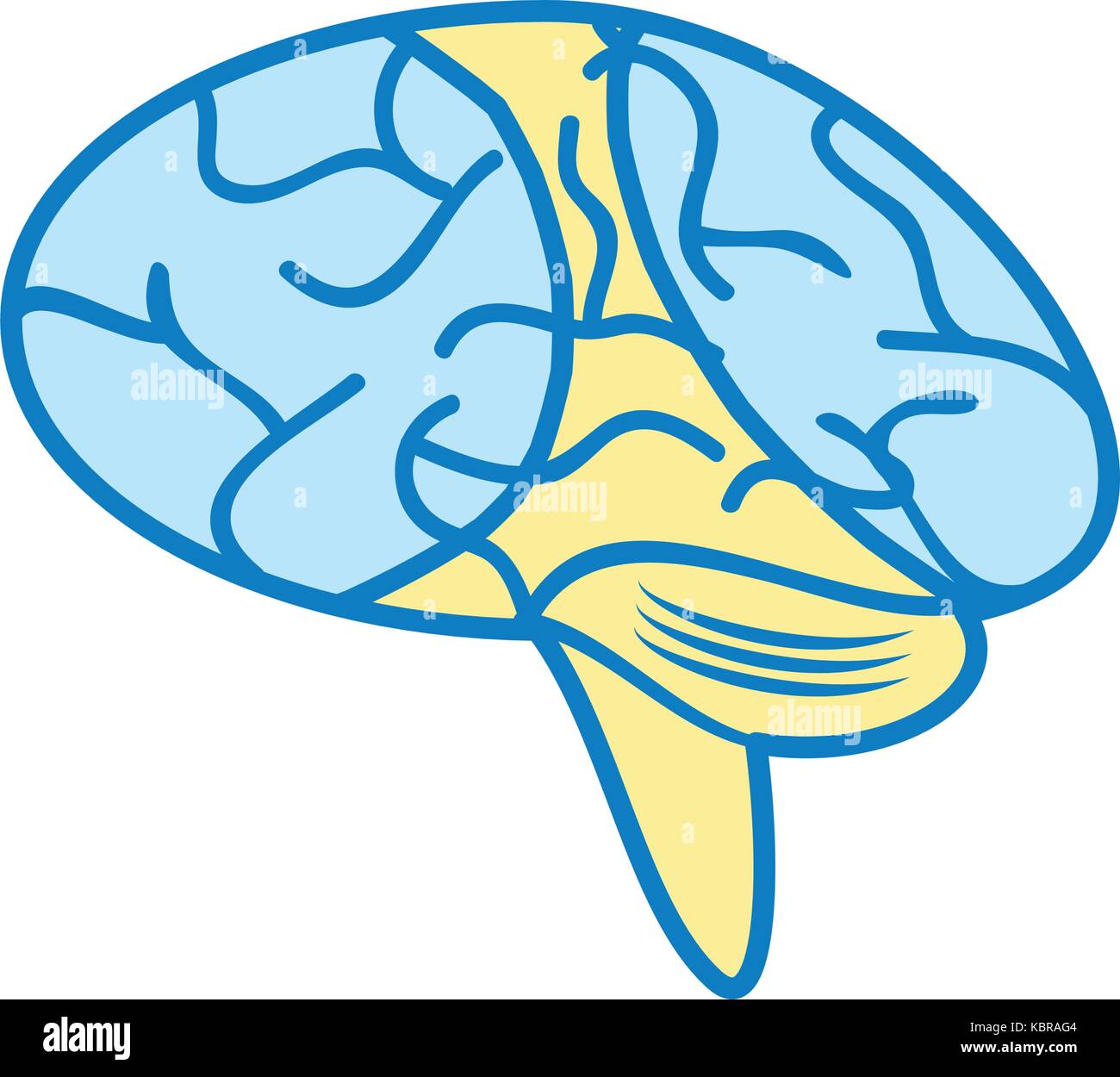 human brain icon over white background vector illustration Stock Vector ...