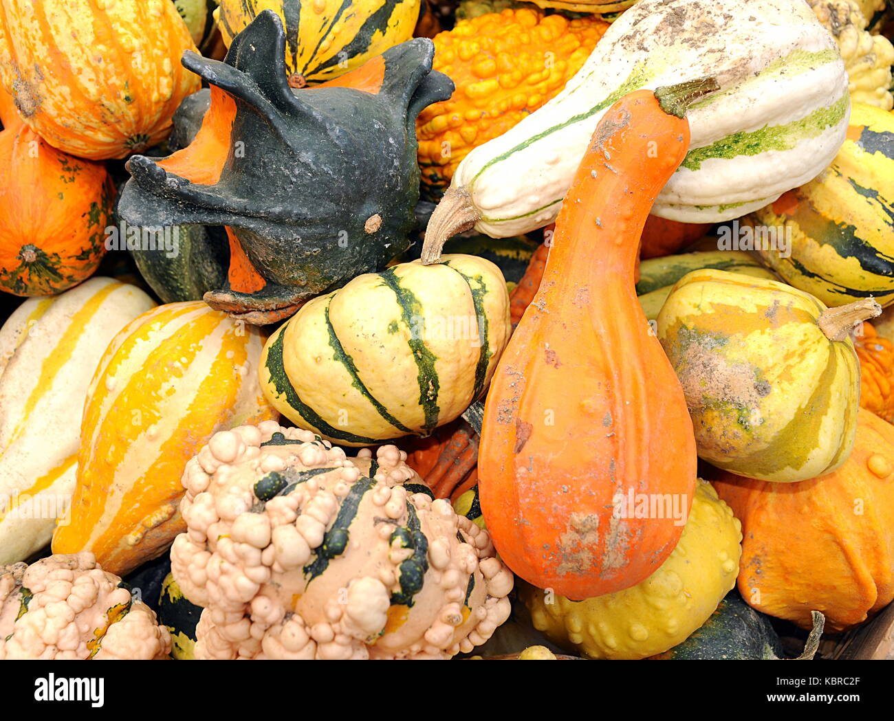 Pumpkin shapes hi-res stock photography and images - Alamy