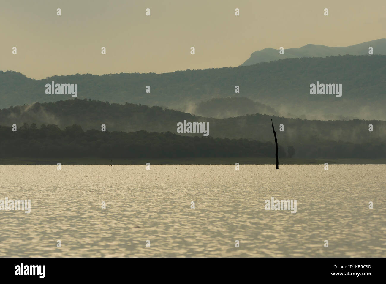 Bhadra backwaters with misty background Stock Photo - Alamy