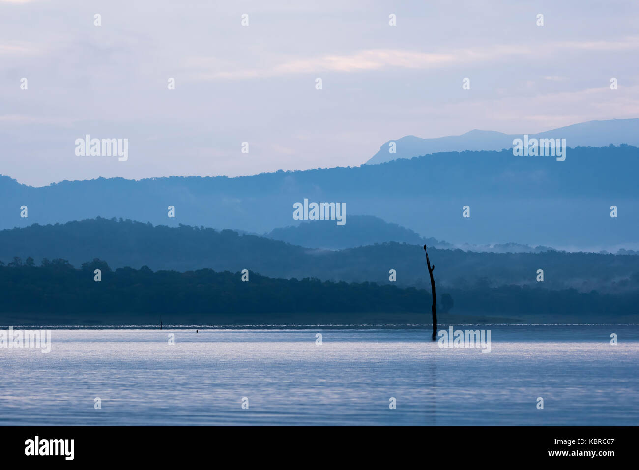 Bhadra backwater with rising sun in the morning Stock Photo - Alamy