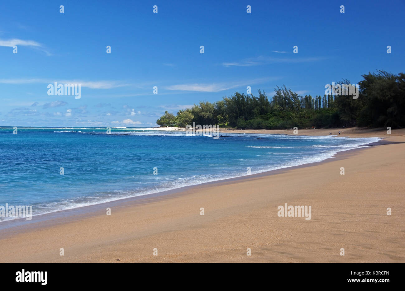 Hawaii is an island chain in the Pacific Ocean and since 1959 the 50th ...