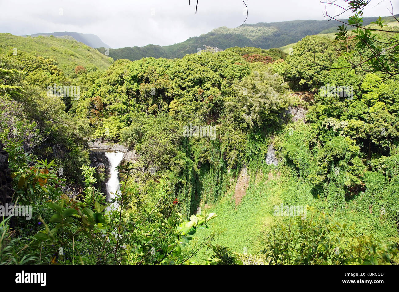 Hawaii is an island chain in the Pacific Ocean and since 1959 the 50th ...
