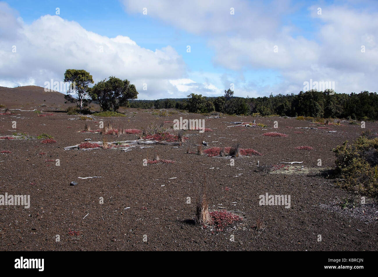 Hawaii is an island chain in the Pacific Ocean and since 1959 the 50th ...