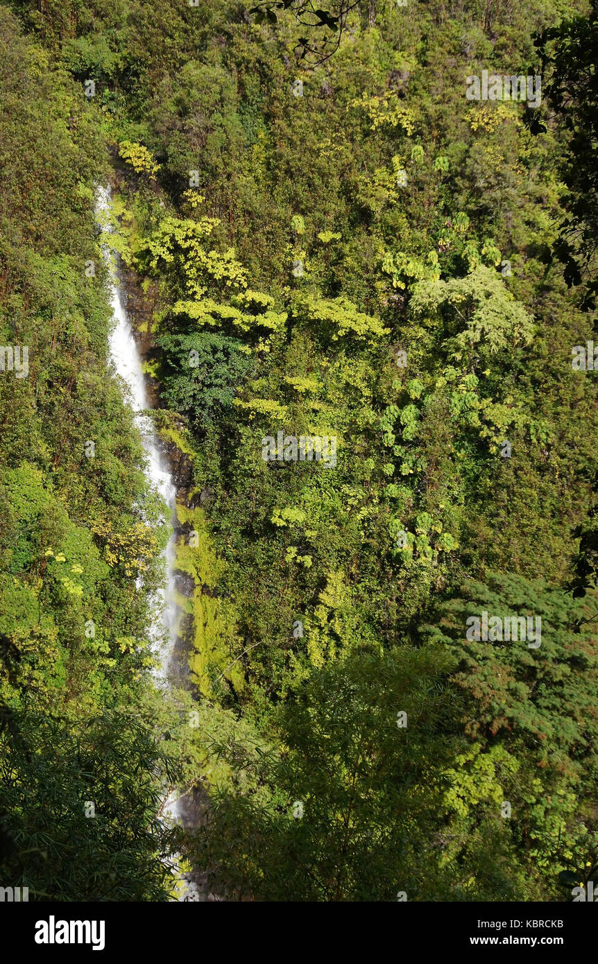 Hawaii is an island chain in the Pacific Ocean and since 1959 the 50th ...