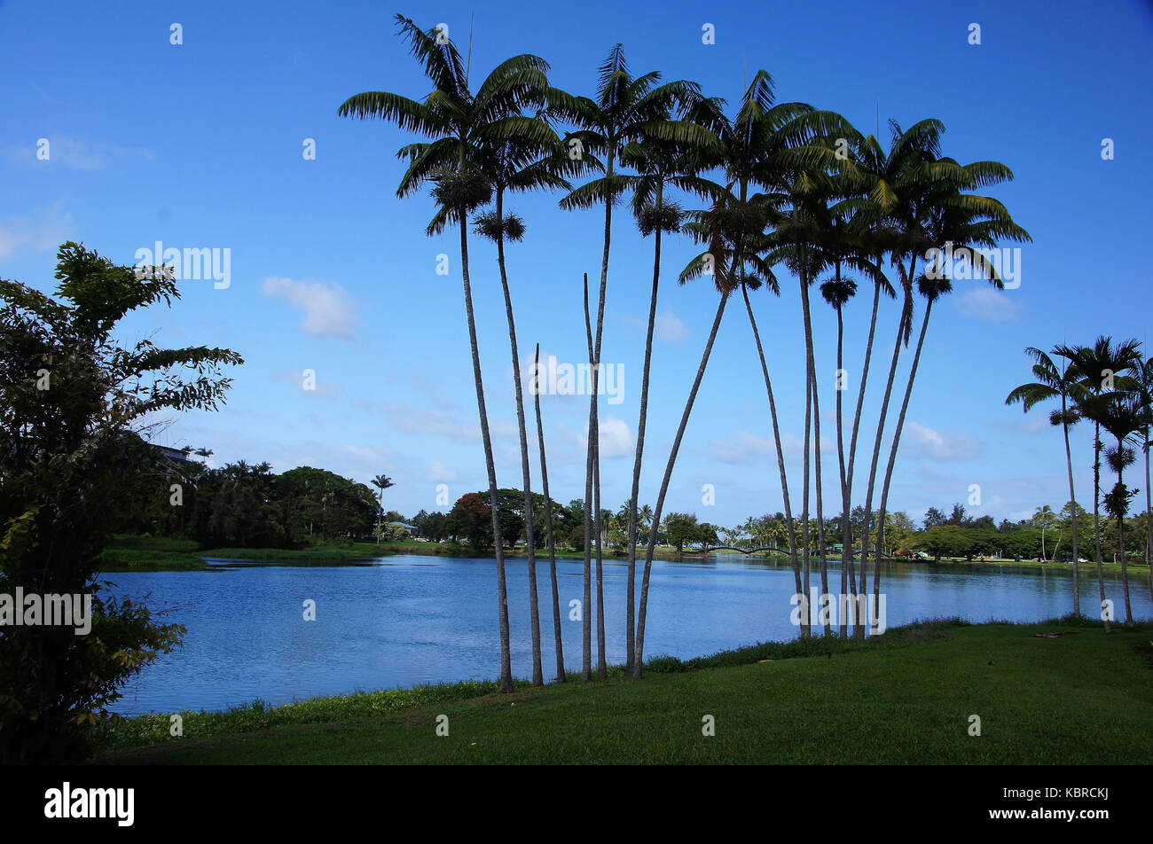 Hawaii is an island chain in the Pacific Ocean and since 1959 the 50th ...