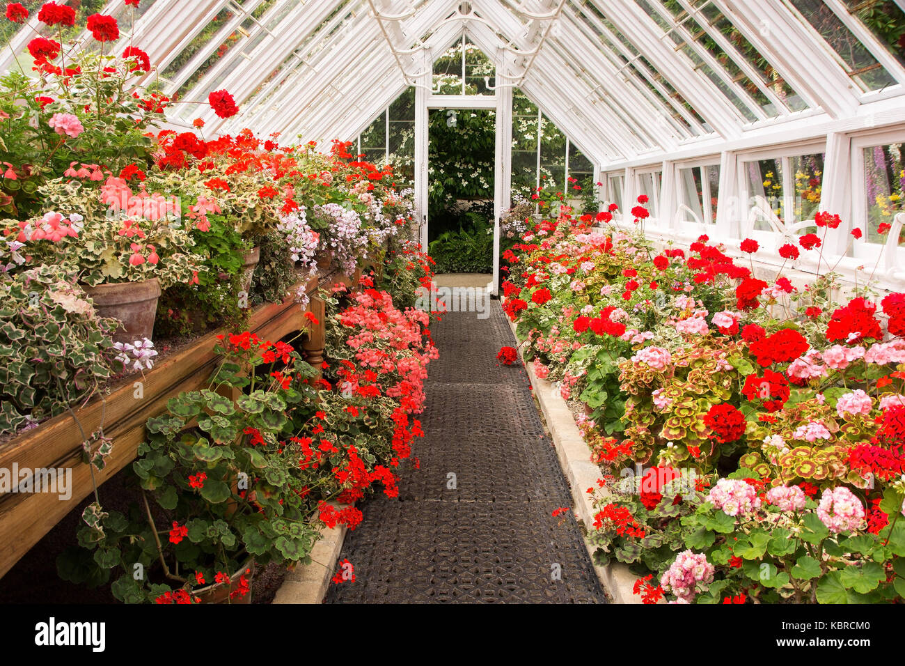 A greenhouse, greenhouse or hothouse is a light-permeable construction ...