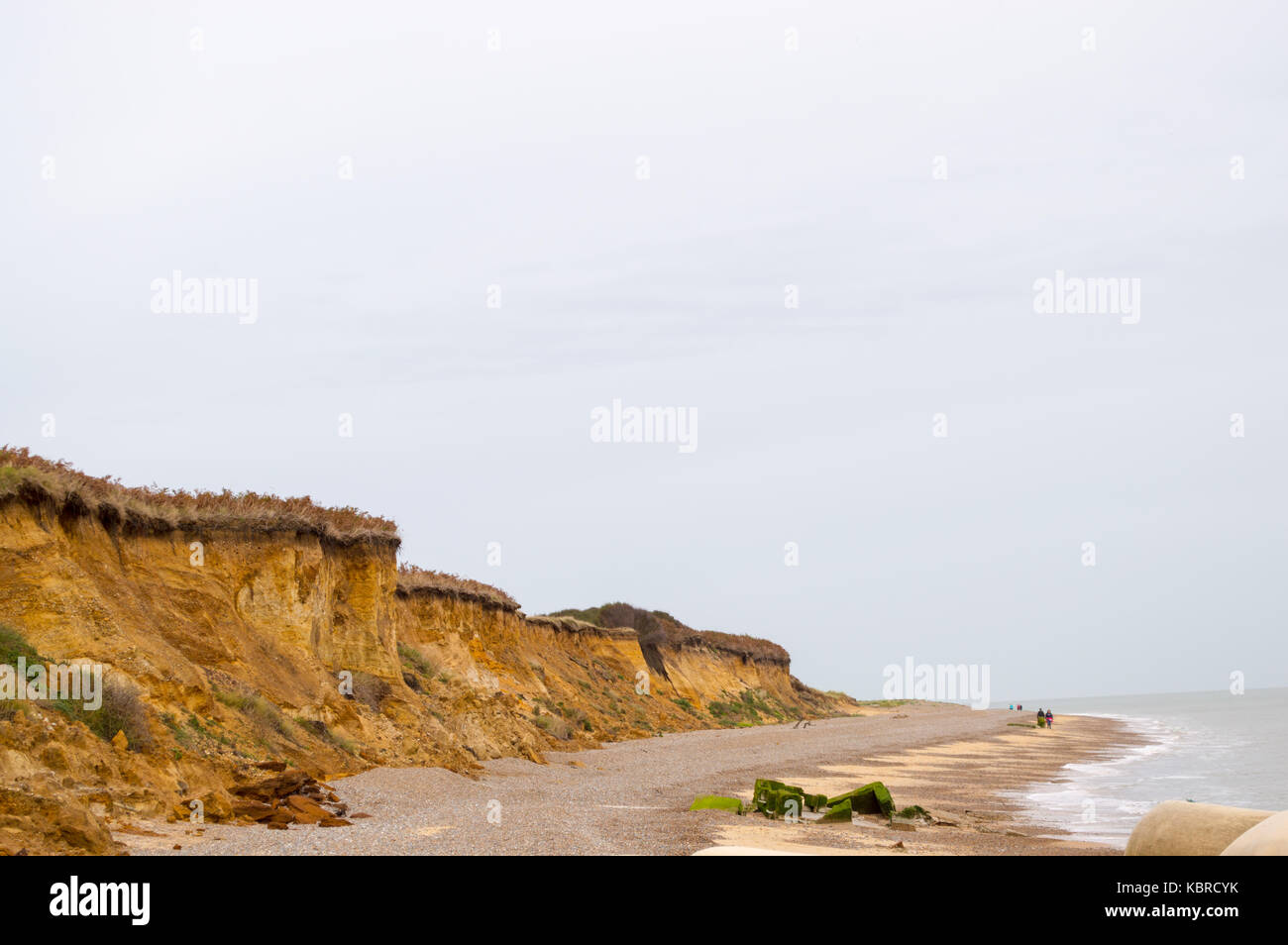 Tidal erosion of the sediment cliffs and destruction of the coastal ...