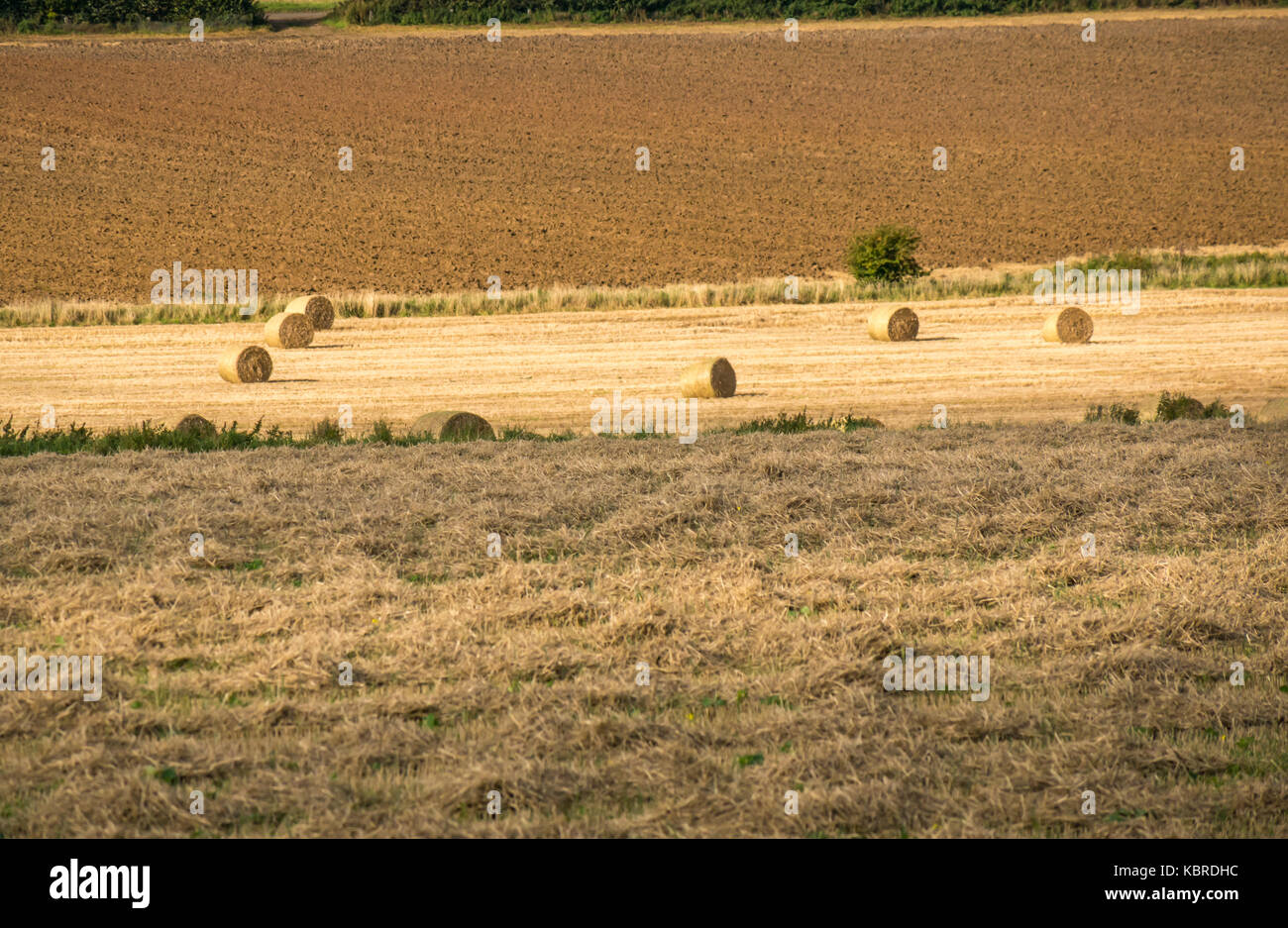 Hay bales field scotland hi-res stock photography and images - Alamy