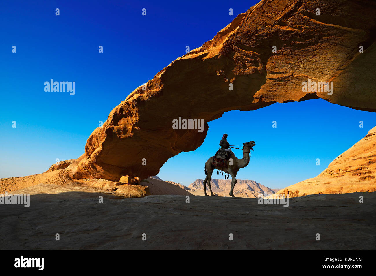 Camel rock natural formation hi-res stock photography and images - Alamy