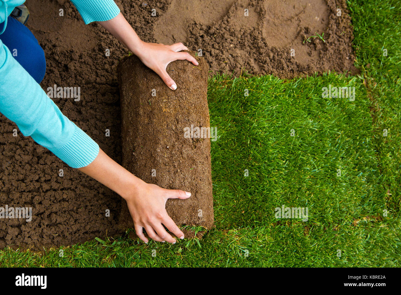 Woman applying turf rolls in the backyard Stock Photo - Alamy