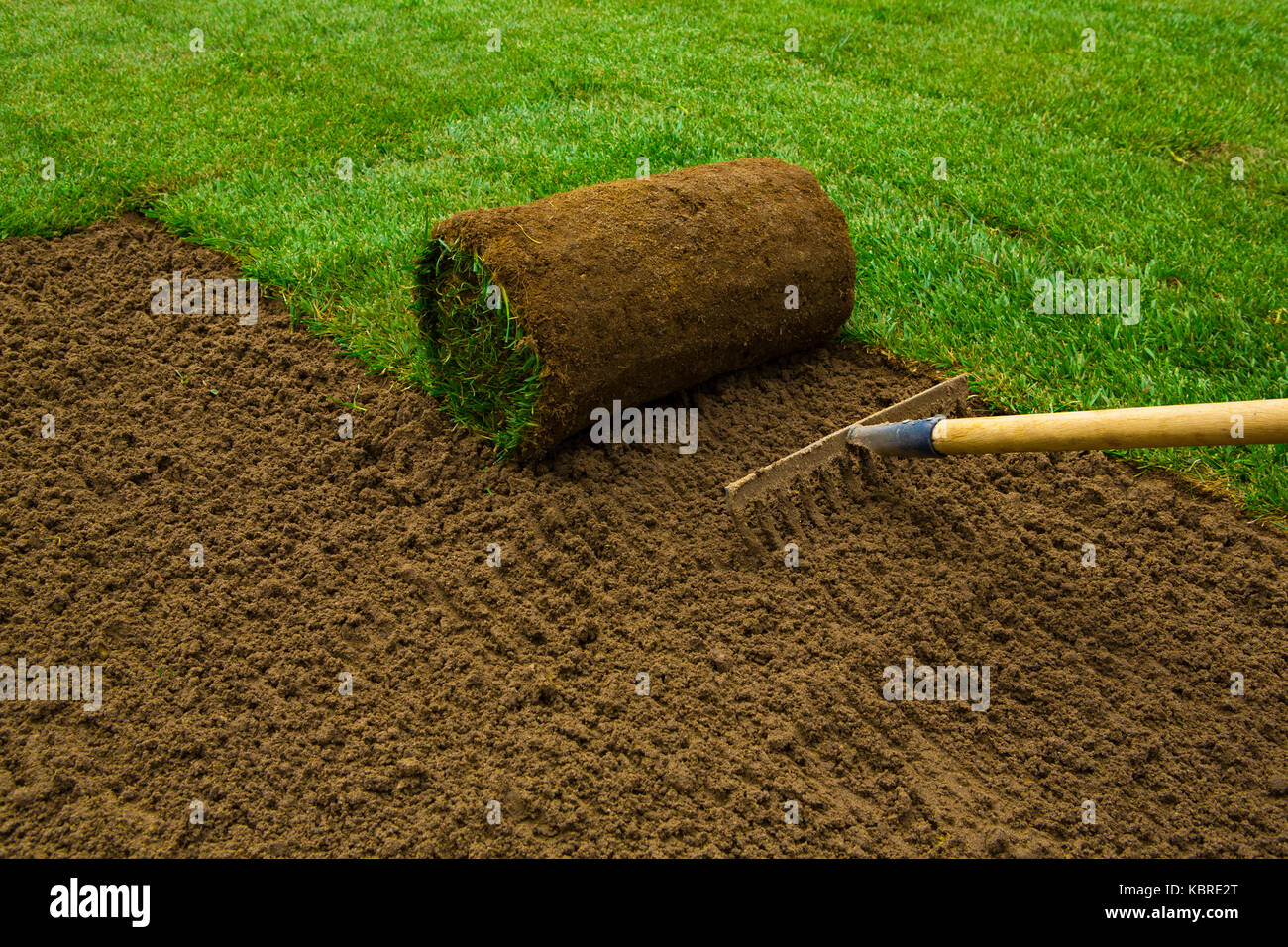 Gardener applying turf rolls in the backyard Stock Photo - Alamy