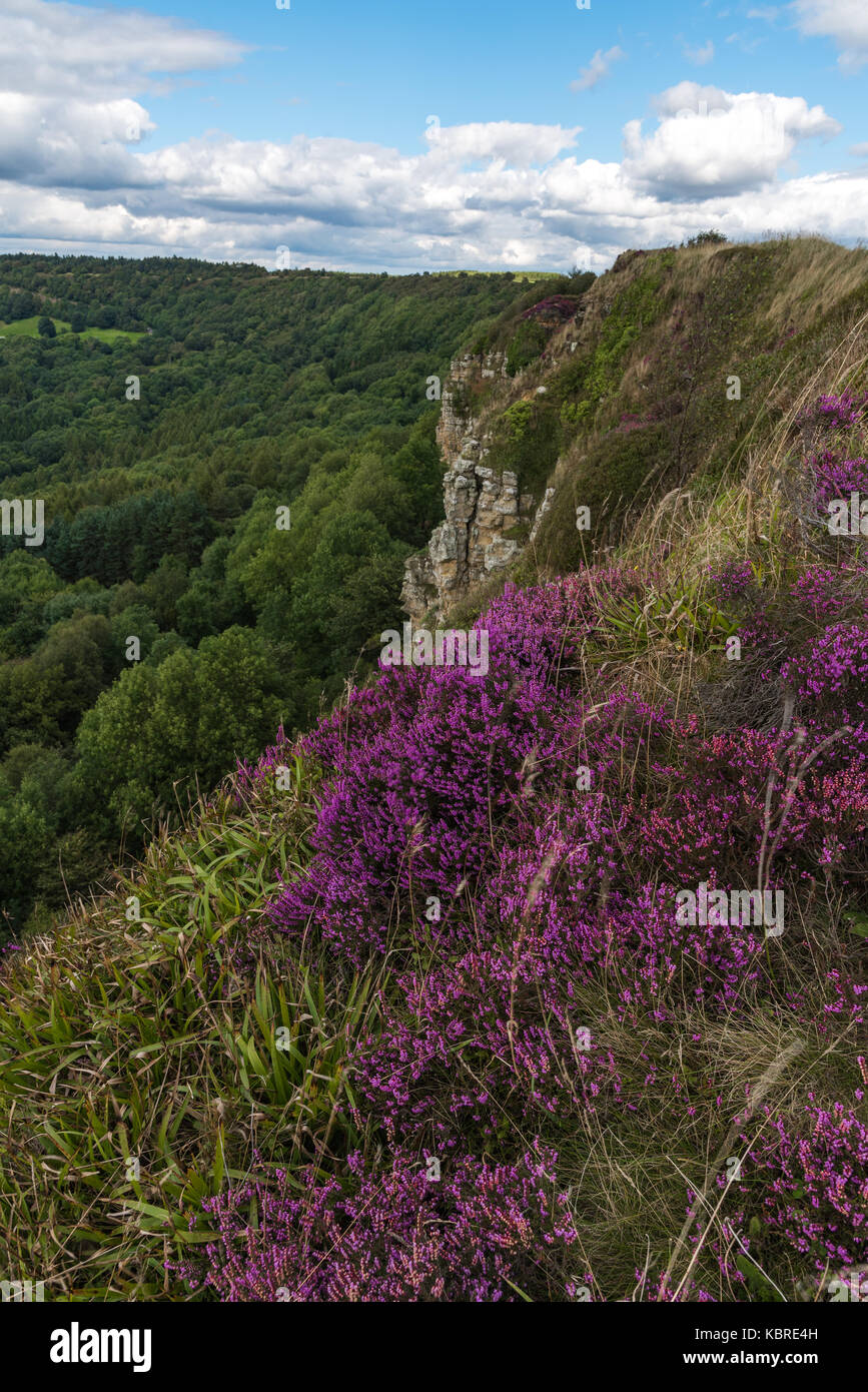 Sutton Bank Landscape view in North Yorkshire, Great Britain Stock ...