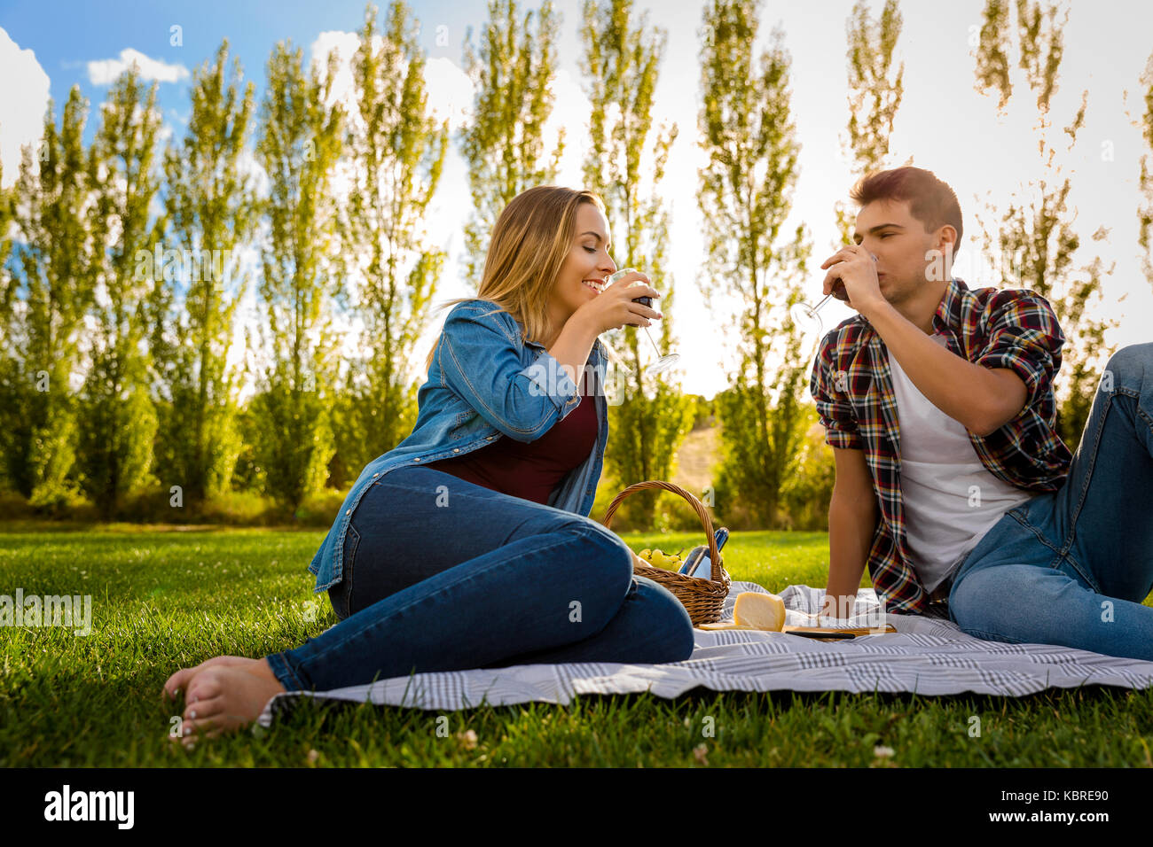 Shot of a beautiful couple on a picnic and making a toast Stock Photo ...