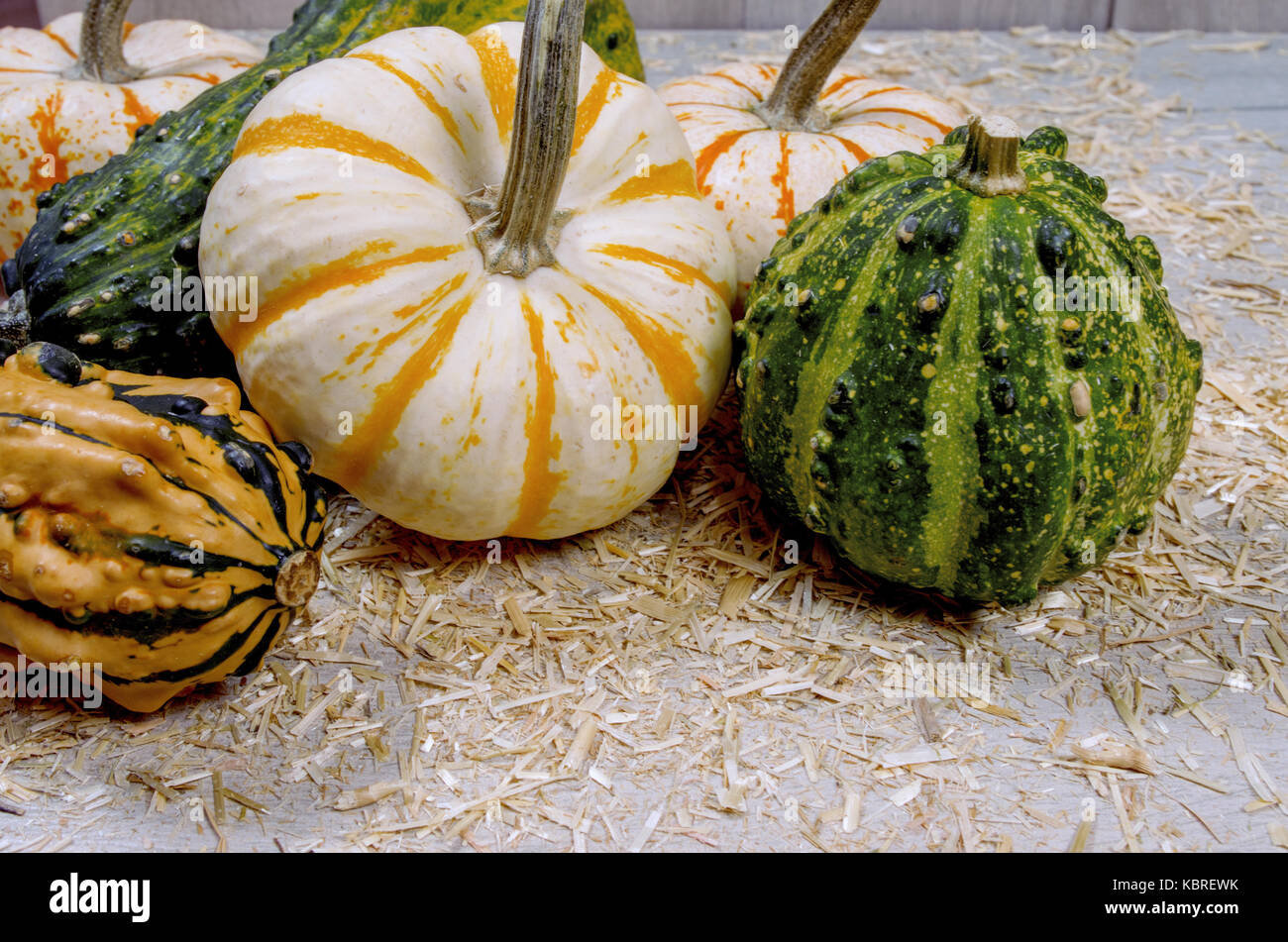Seasonal fall hi-res stock photography and images - Alamy