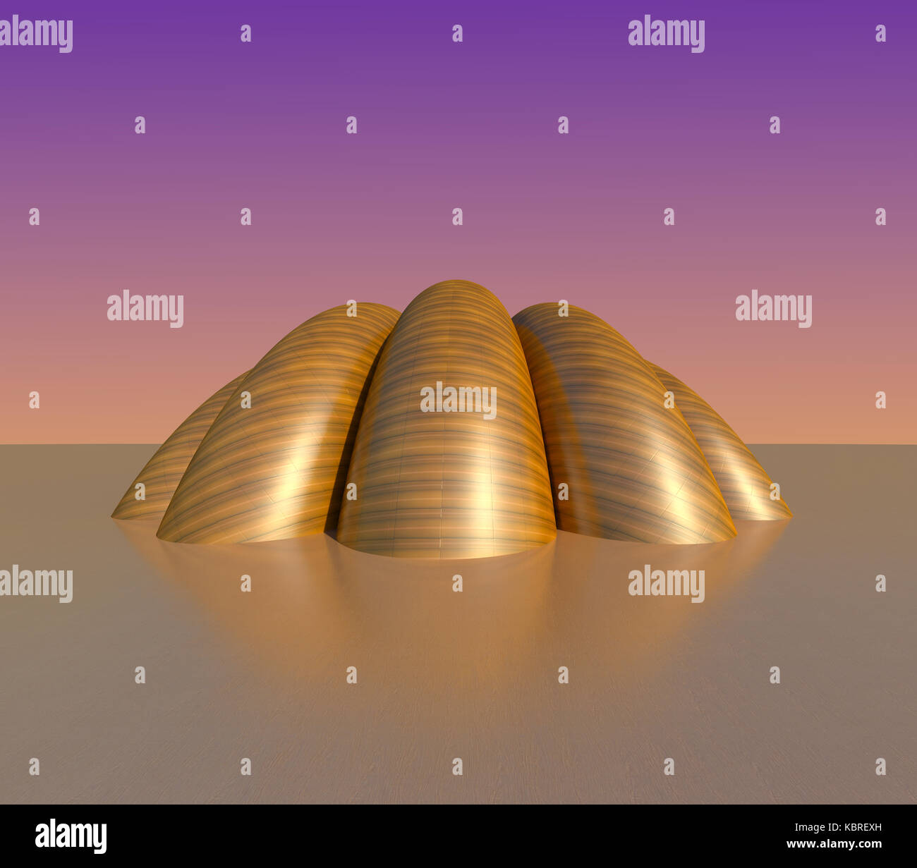 Shell structure hi-res stock photography and images - Alamy