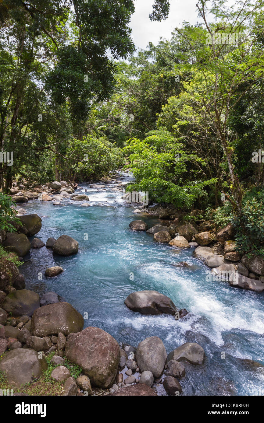 Beautiful natural river with a turquoise color in northern Costa rica ...