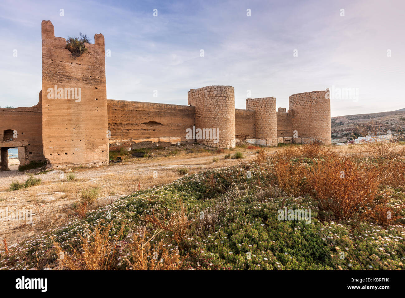 Jayran wall hi-res stock photography and images - Alamy