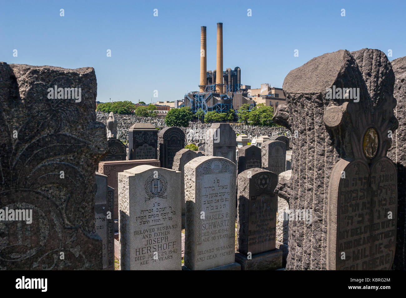 New york city jewish cemetery hi-res stock photography and images - Alamy