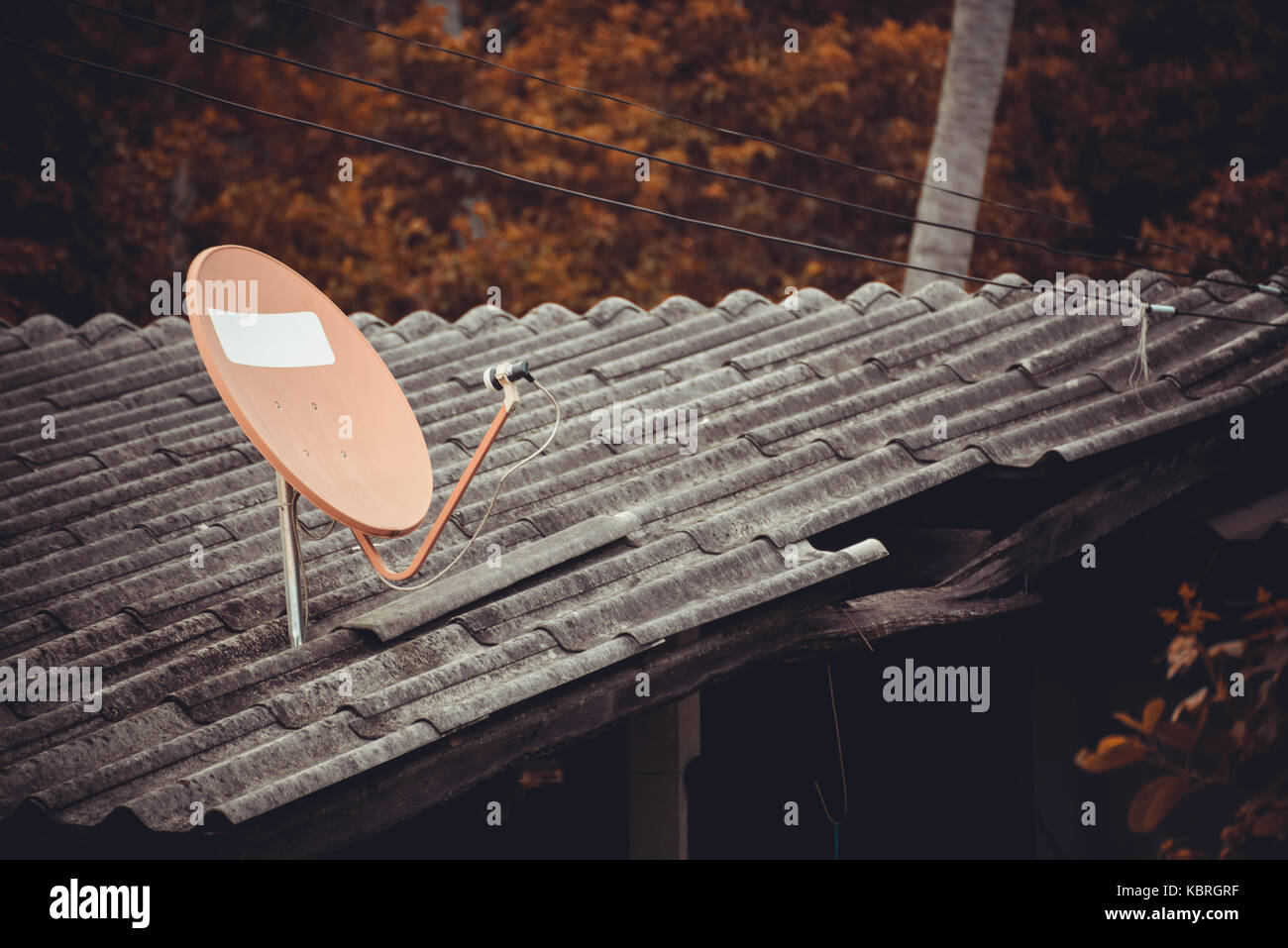 Satellite dish on the roof with plant background. vintage tone Stock ...