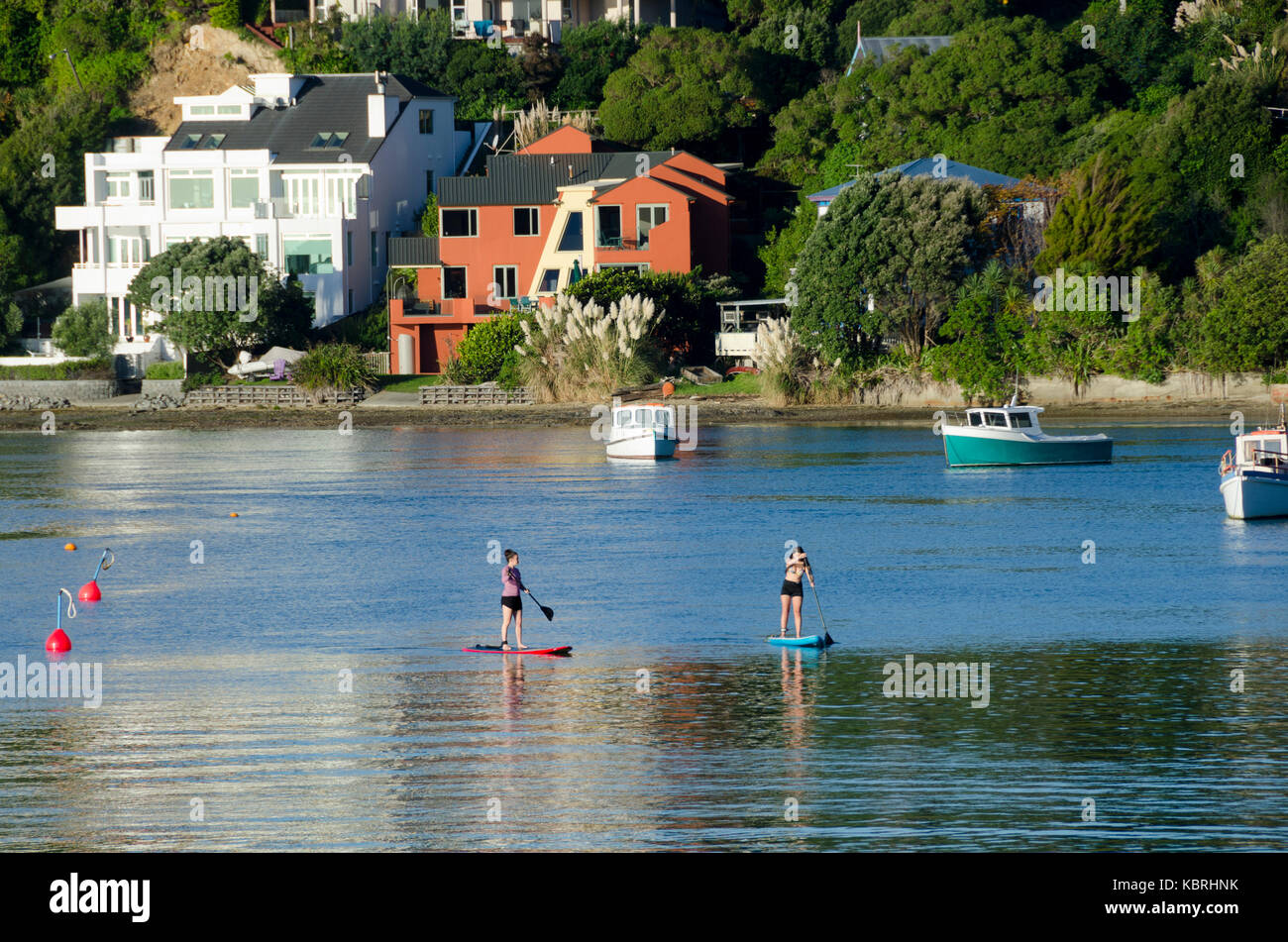 Paremata, Porirua, Wellington, New Zealand Stock Photo - Alamy
