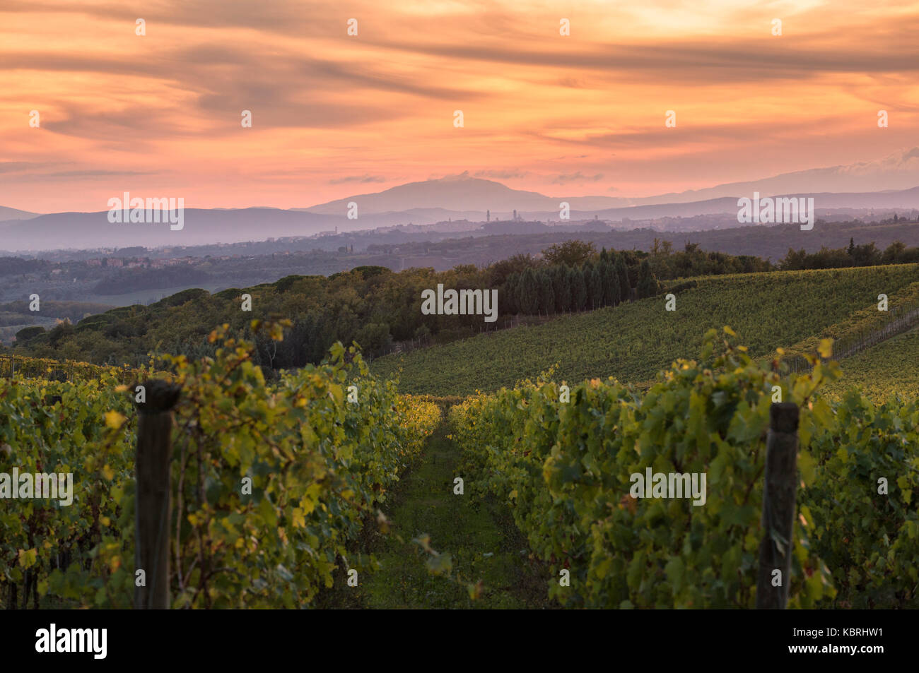 Mount Amiata (Monte Amiata) from Chianti vineyards during sunset. San ...